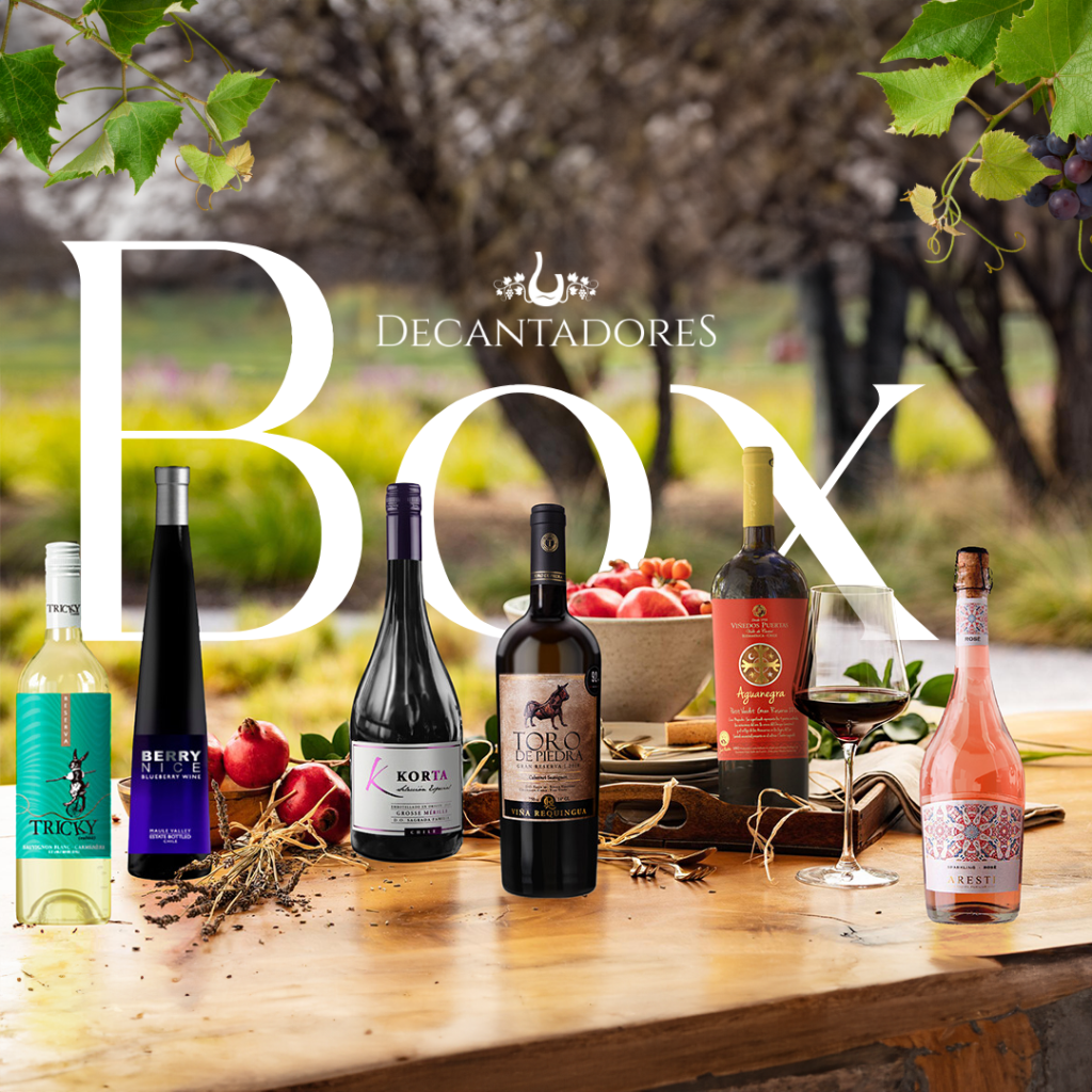 Box Decantadores – Variedad 6 Cepas + Porta Celular de Regalo ...